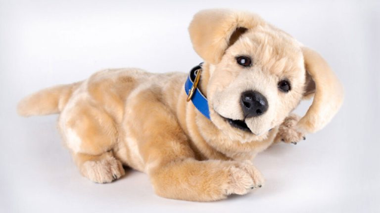 Waggy AI Dog Reviews - Is This Robotic Puppy the Best Tech Pet for Your ...